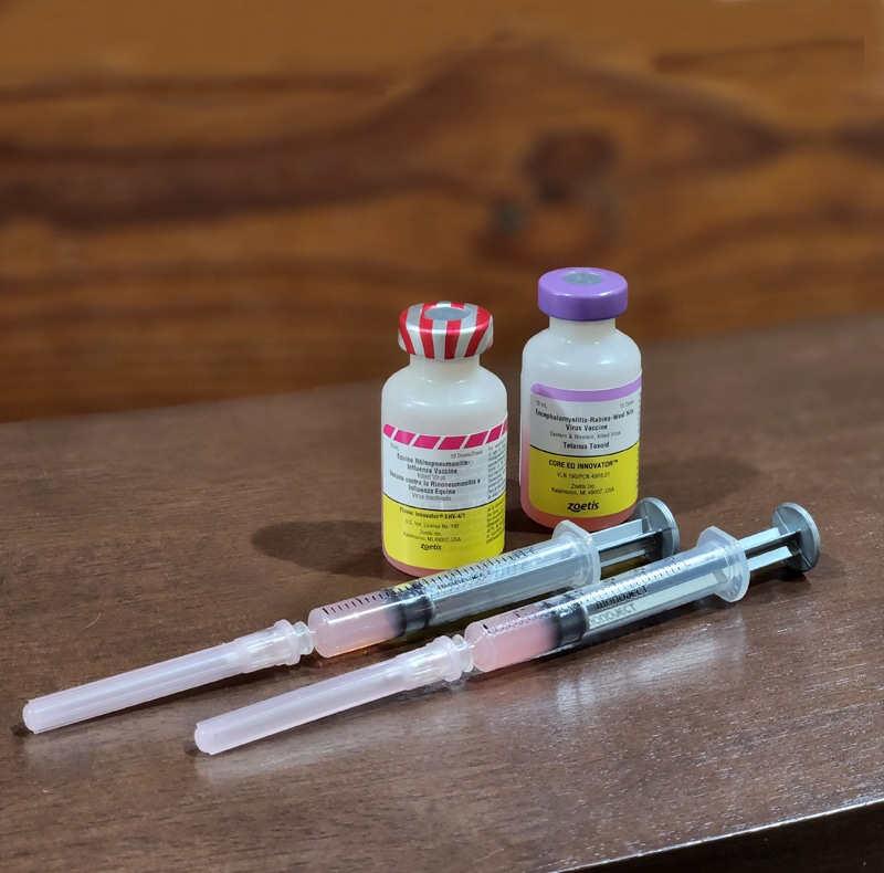 Pet Vaccinations in Bucyrus, KS | Red Oak Animal Hospital