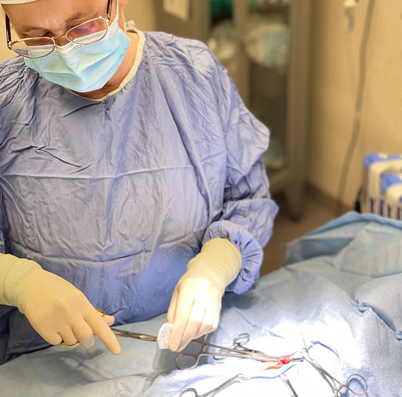 Surgery - Vet in Bucyrus | Red Oak Animal Hospital