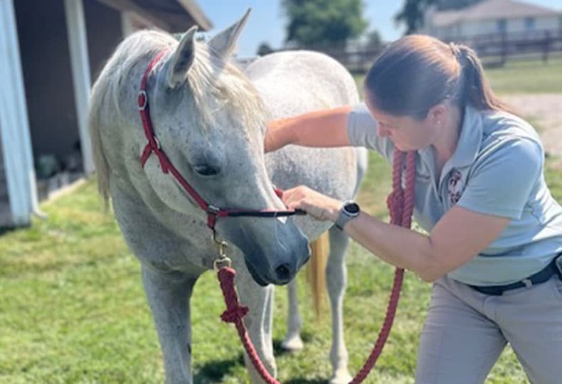 Veterinarian in Bucyrus | Vet Near You | Red Oak Animal Hospital