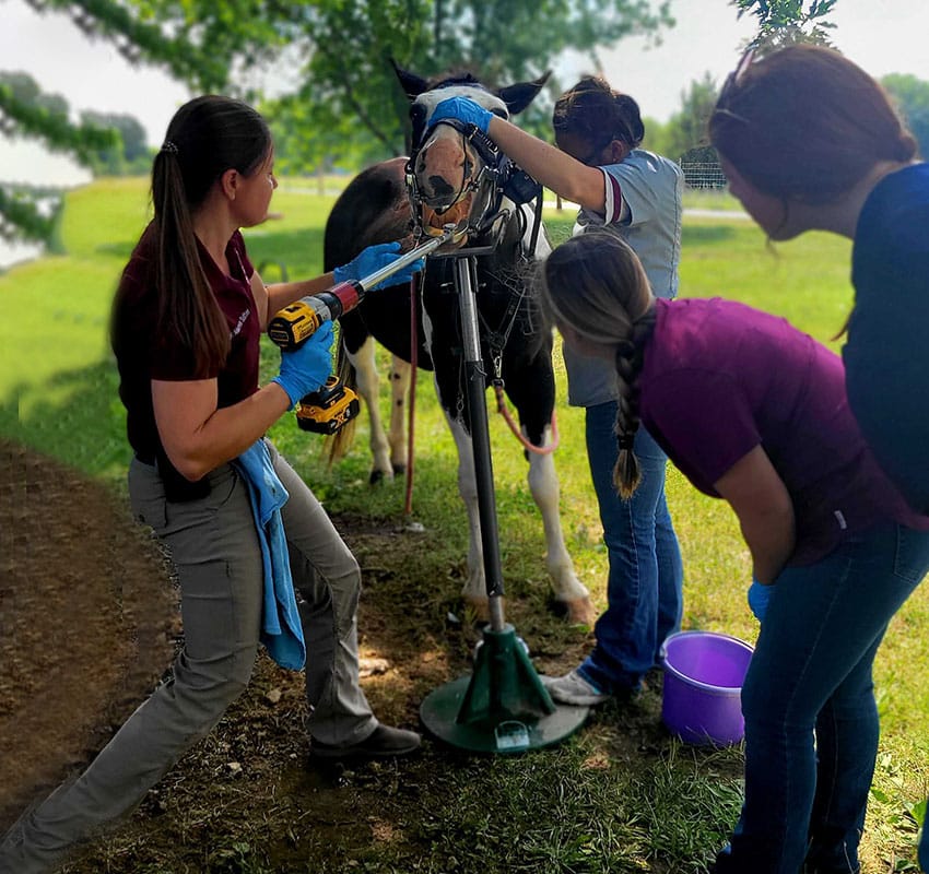 Externship - Vet in Bucyrus | Red Oak Animal Hospital