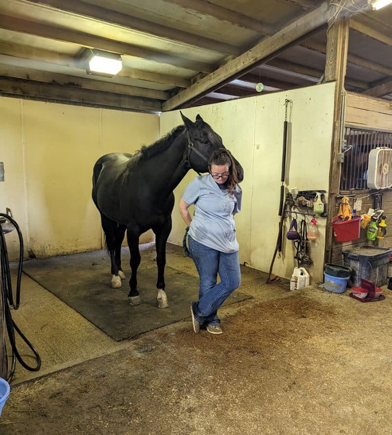 Pet Physical Exams in Bucyrus, KS | Red Oak Animal Hospital