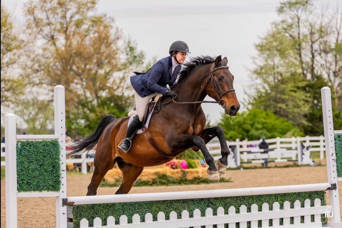 Maureen Sutter - Vet in Bucyrus | Red Oak Animal Hospital